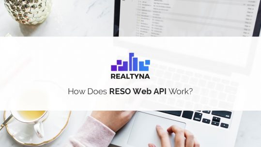 How Does RESO Web API Work?