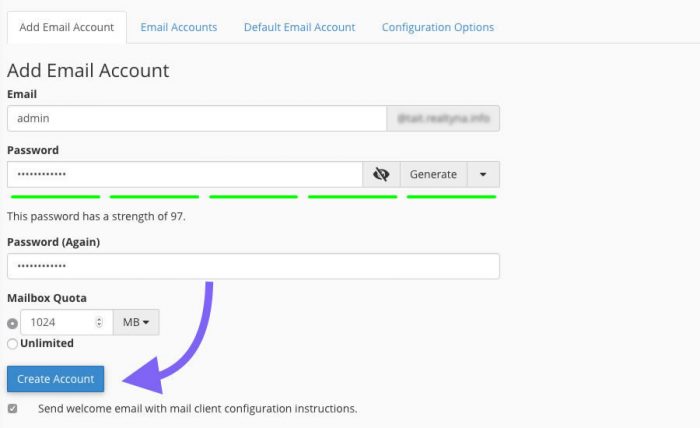 How to Set Up an Email Address for Your IDX Website