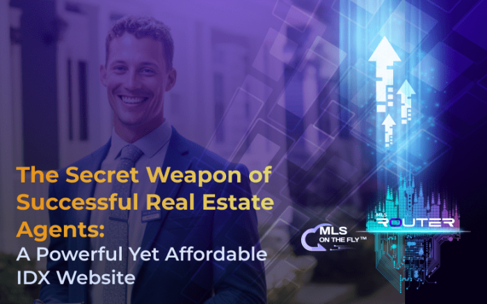 Best IDX for Realtors - The Affordable IDX Solution You Need
